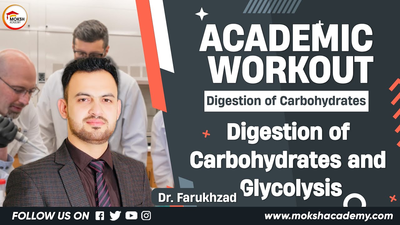 Academic Workout #92:Biochemistry-Digestion of Carbohydrates - YouTube