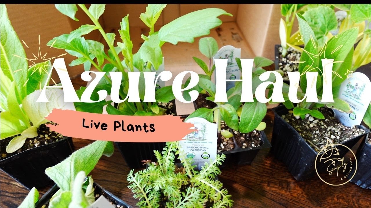 Azure Standard Haul | Live Plants - YouTube