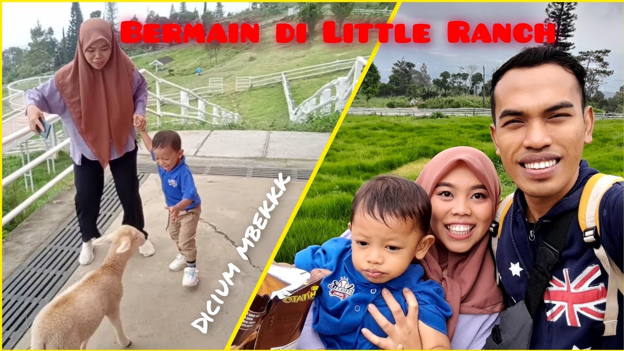 Bermain di Little Ranch Bandungan, Semarang - YouTube