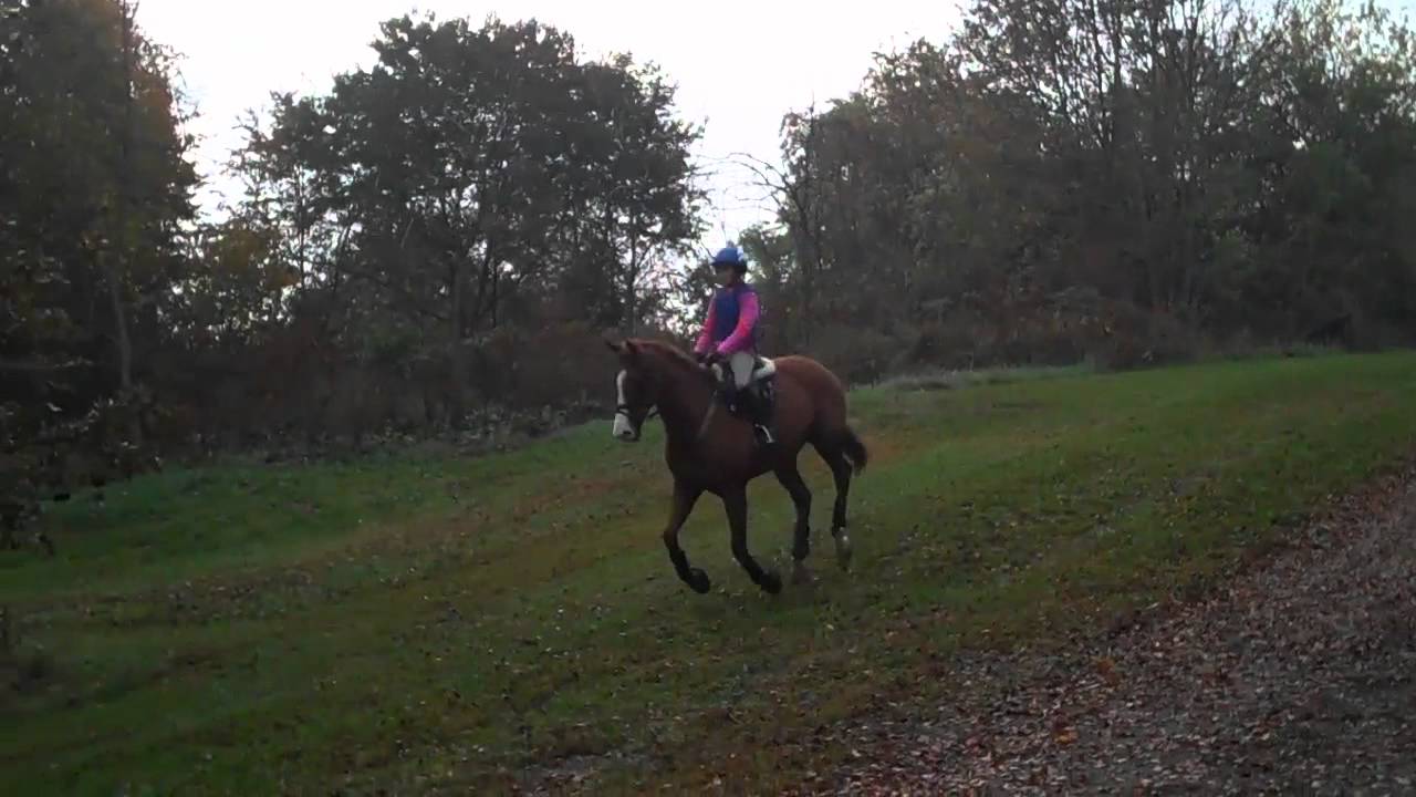 Housemaster Half-Coffin - YouTube