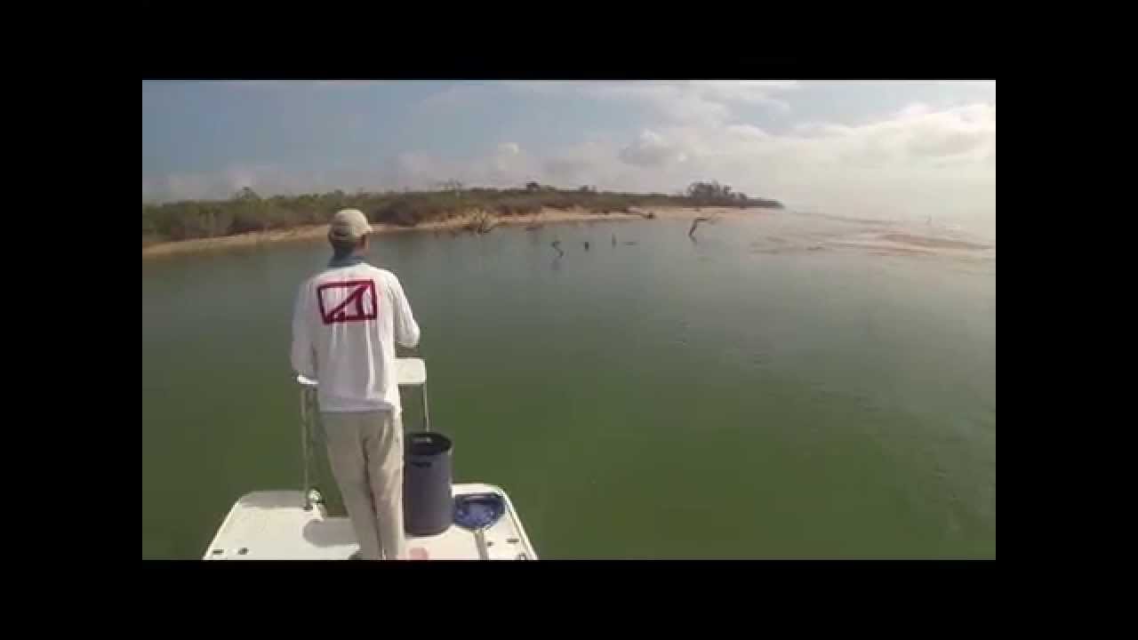 Fly Fishing Hinchinbrook, Spannish Mackerel, Giant Herring and ...