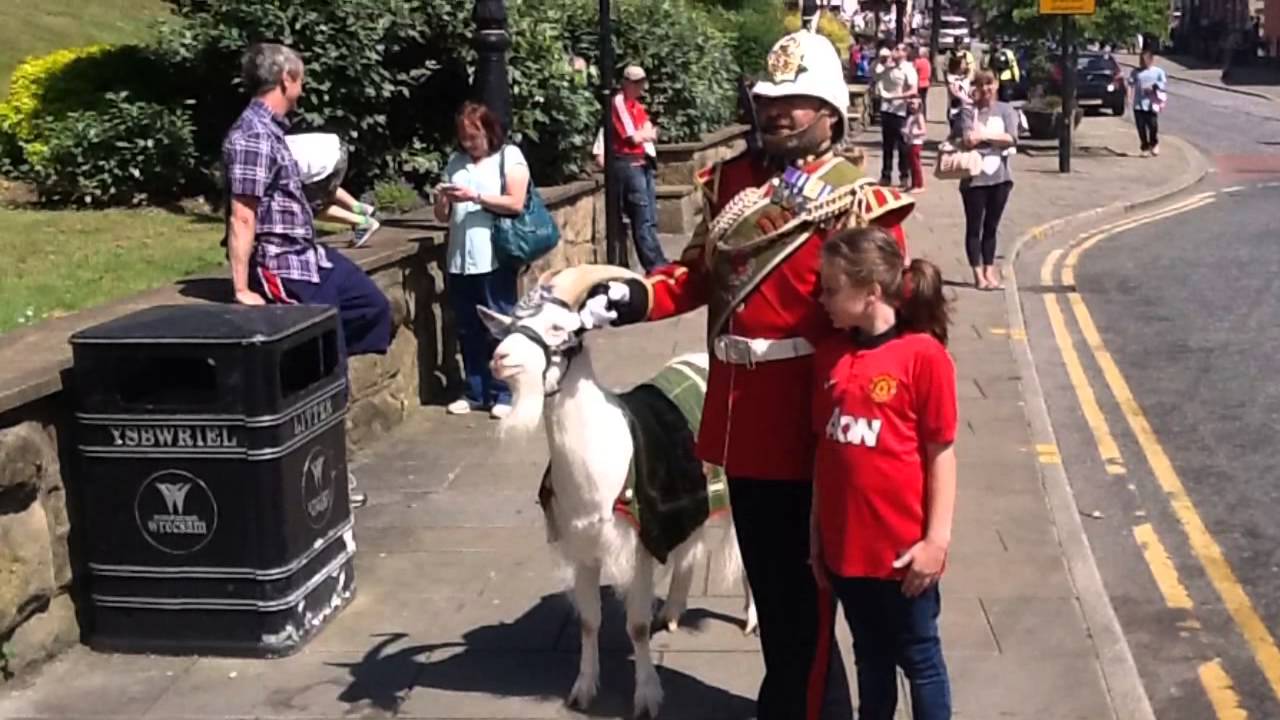 North Wales Armed Forces Day 2014 - YouTube