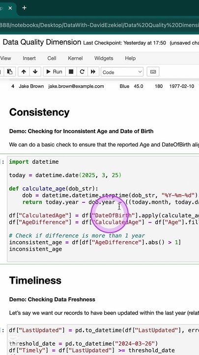 Build a Python Data Quality Checker in 3 Minutes! #coding #dataanlysis ...