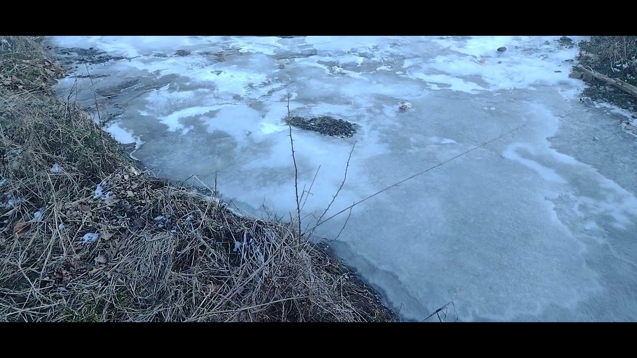 Frozen Creek (Water running under the ice) - YouTube