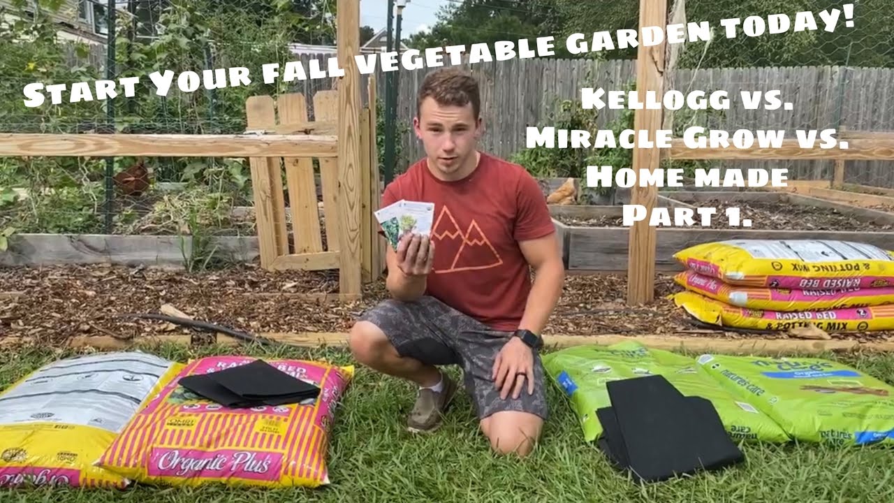 Best Soil For Growing Vegetables Easy Fall Vegetable Garden Part 1 best-soil-for-growing-vegetables-easy-fall-vegetable-garden-part-1