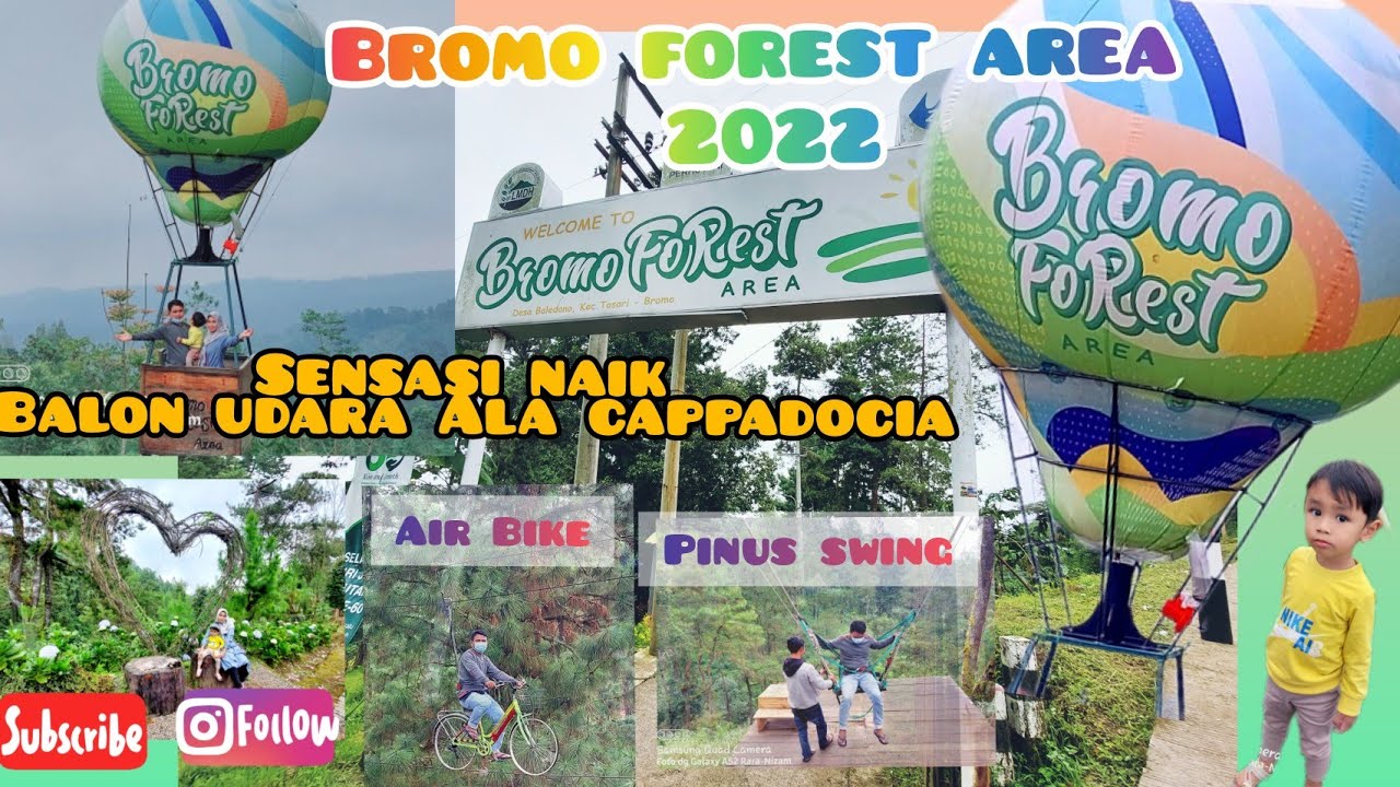 BROMO FOREST AREA 2022 | Spot Foto Unik Balon Udara Ala Cappadocia ...