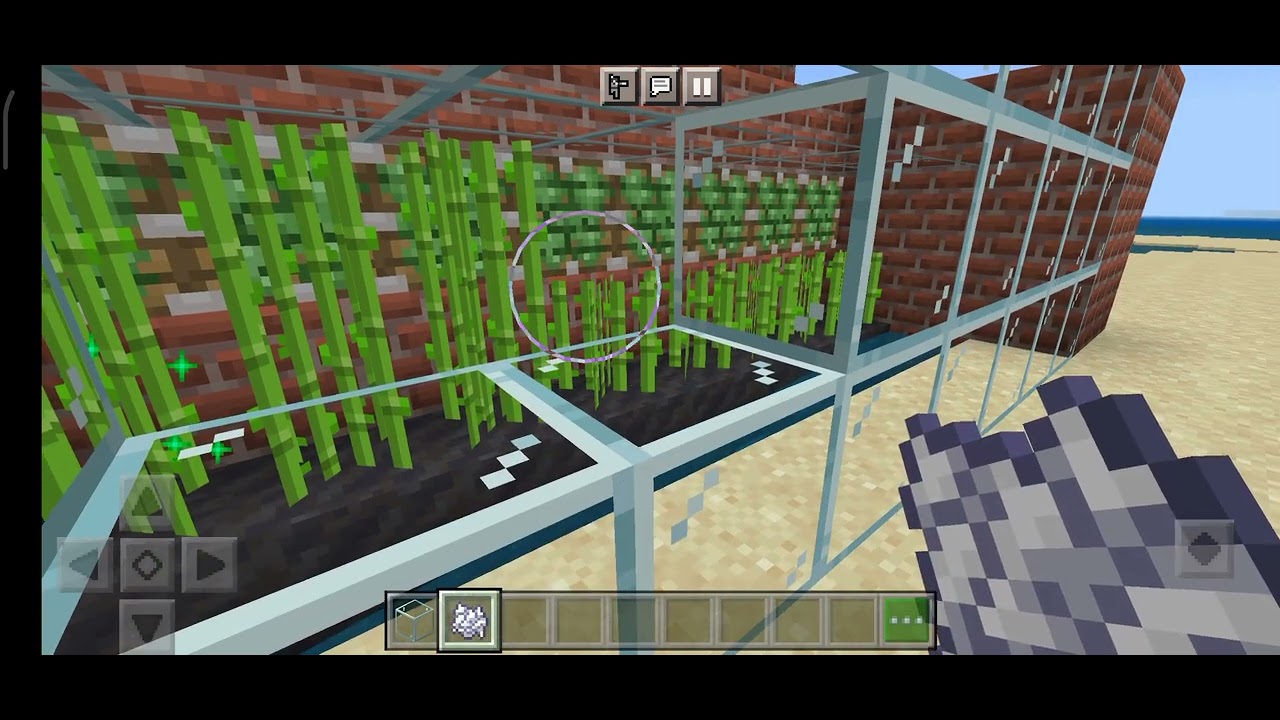 Minecraft sugar canes farm! - YouTube