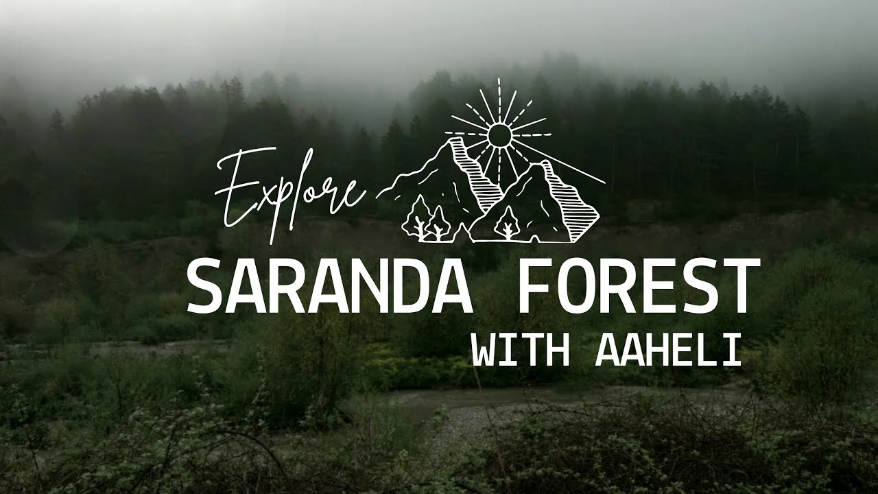 Saranda Forest | Asia’s Largest Sal Forest | Bear Cave - YouTube