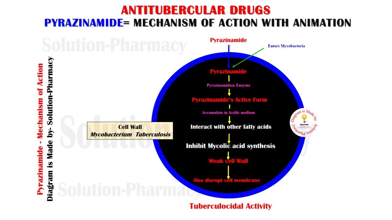 Antitubercular Drug | Pyrazinamide Mechanism of Action Animation | Anti ...