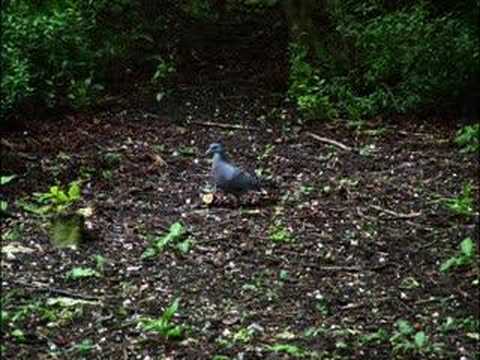 Bilemezdik Ayrılacağımızı...