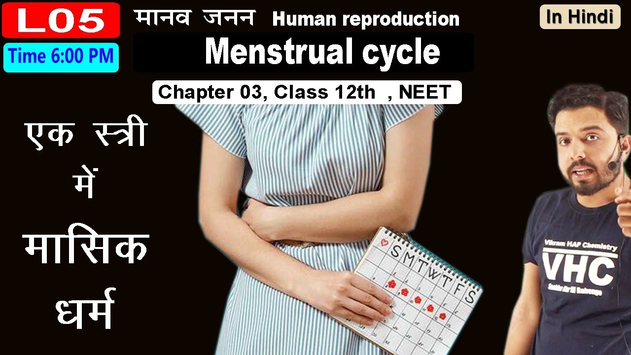 part 05 मासिक धर्म menstrual cycle || Chap 03 || Class 12th NEET - YouTube