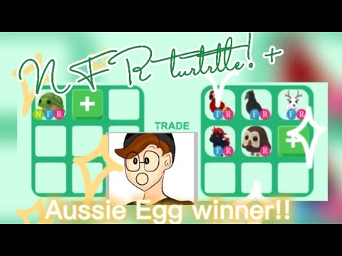 Trading NEON fly,Ride Turtle! in Adopt me!!!...Enjoy #seeingpploffer ...