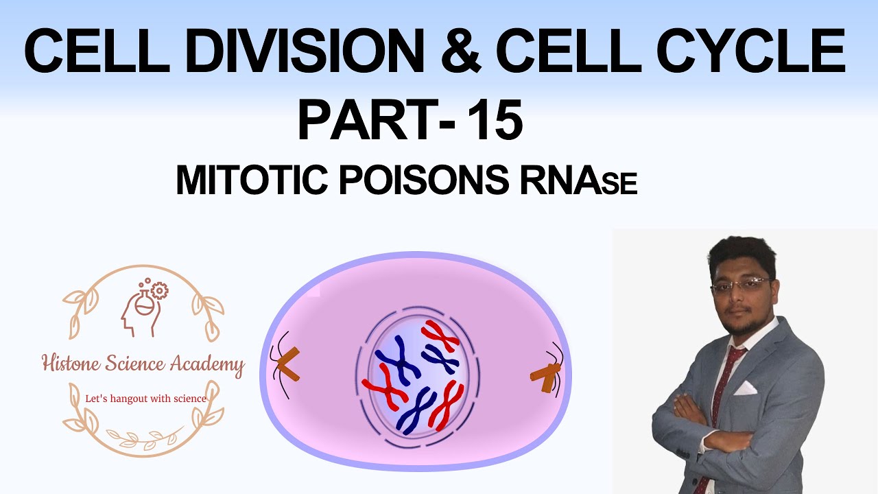 cell division and cell cycle Part-15 mitotic poisons RNAse NEET, AIIMS ...