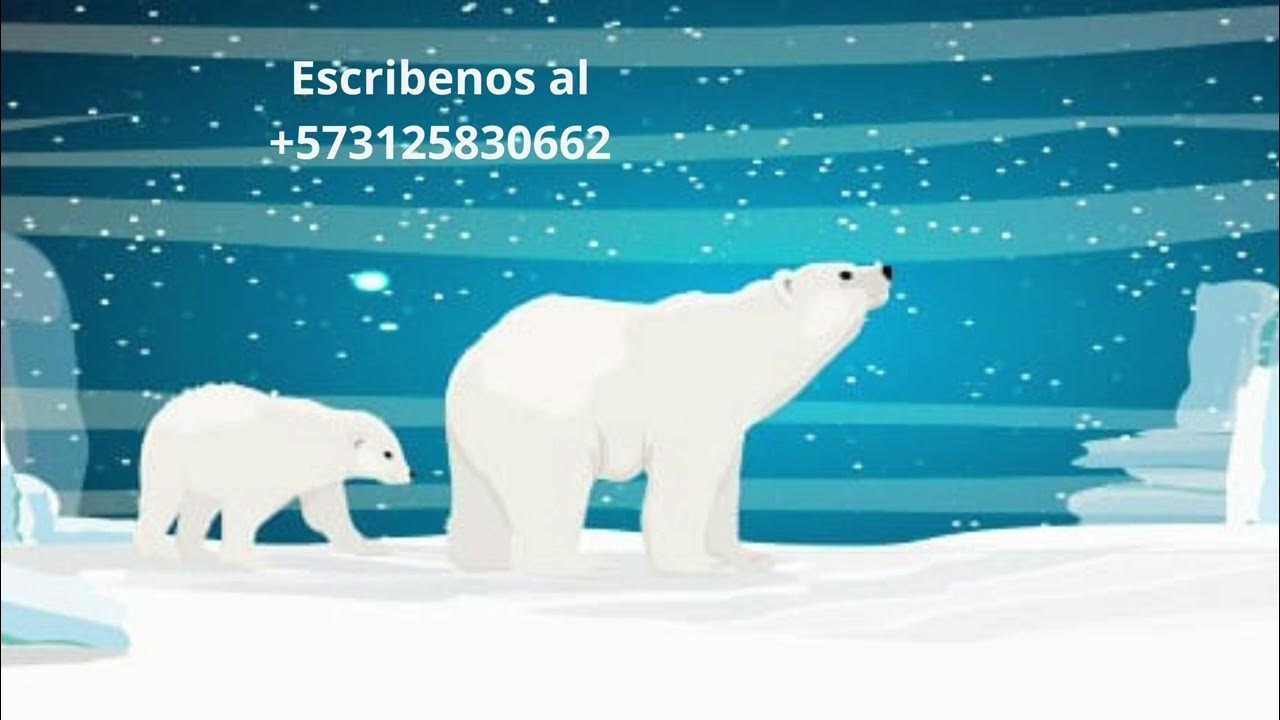 Por que los oso polares tiene la cola corta- cuentos para antes de ...