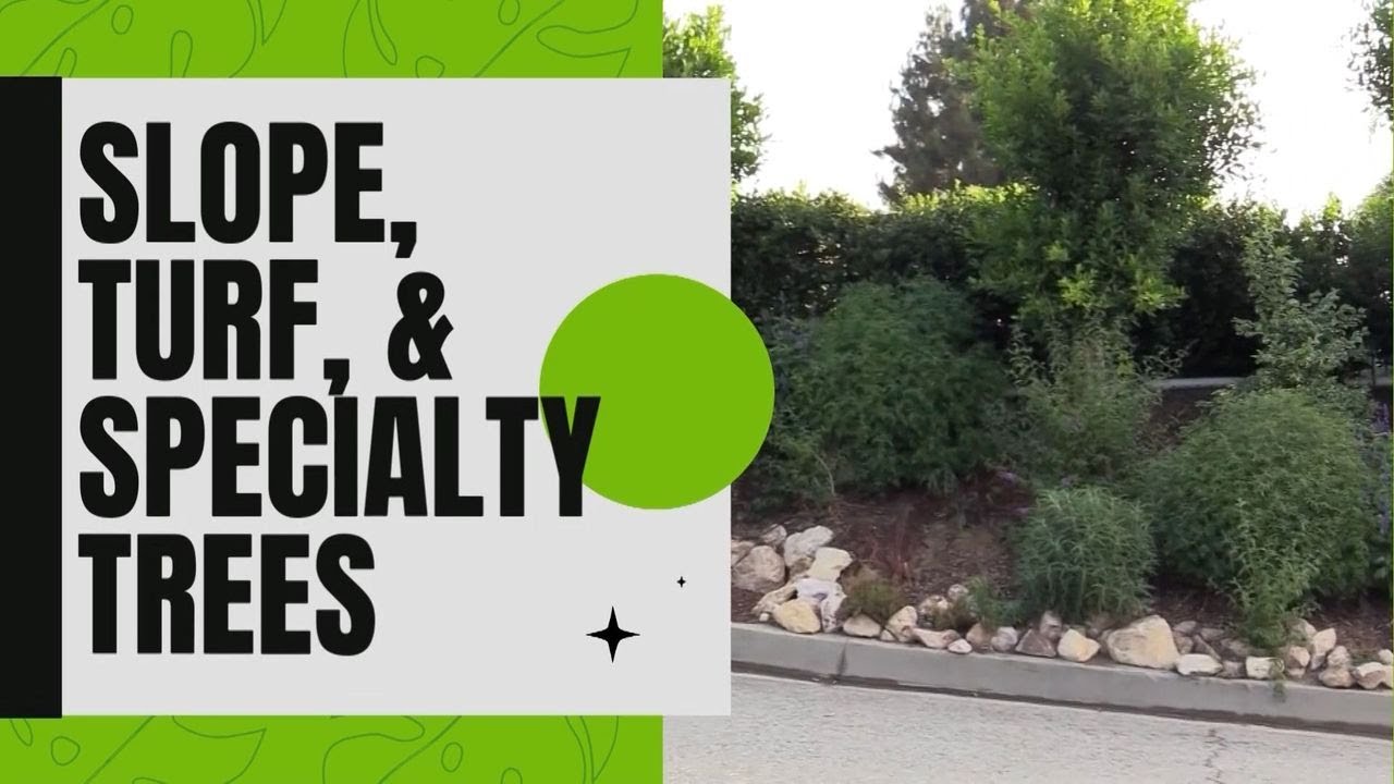 SLOPE, Turf and Specialty Trees - YouTube