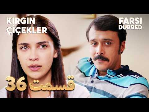 Kırgın Çiçekler | 36 غنچه های زخمی |  قسمت | Farsi Dubbed | با دوبلۀ فارسی