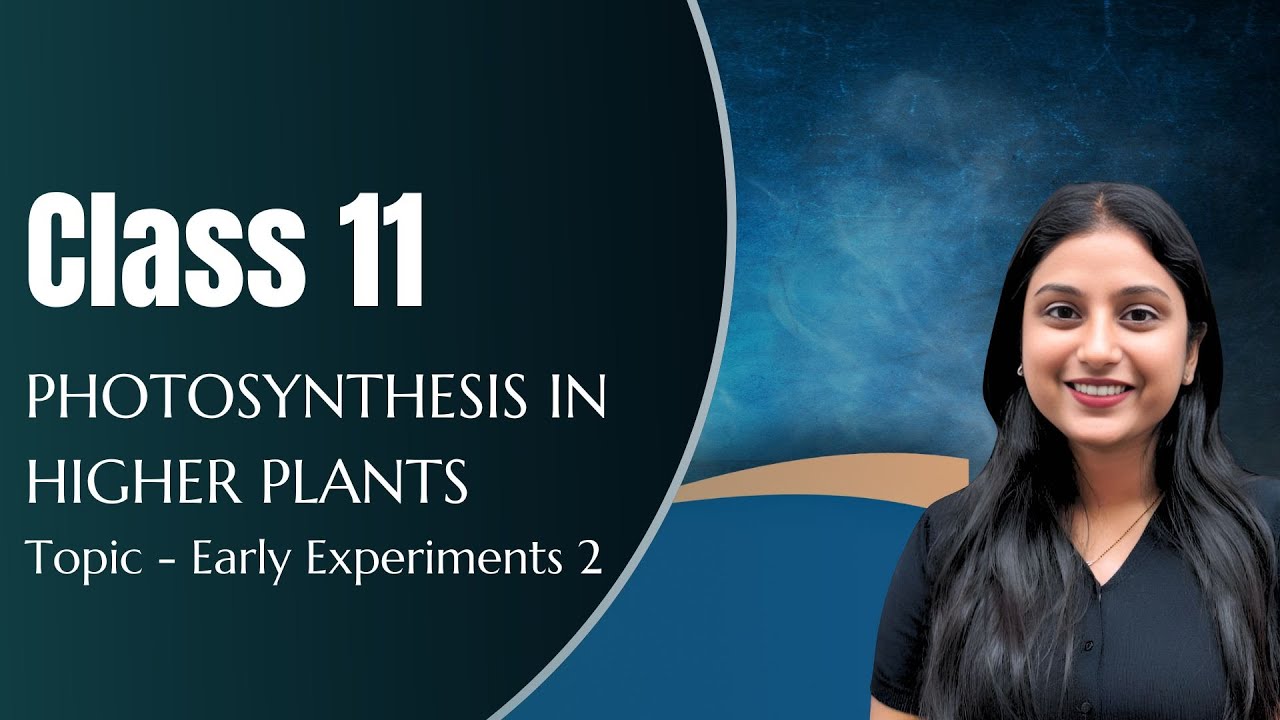 Early Experiments 2 | Photosynthesis in higher plants| Class 11 - YouTube