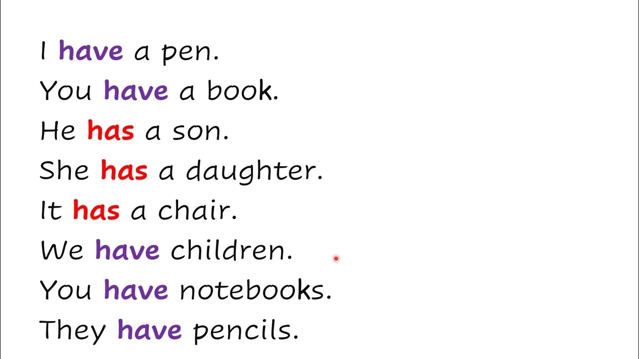 Simple Present Have Has (ESL, ELL, English, Literacy, Beginner) - YouTube