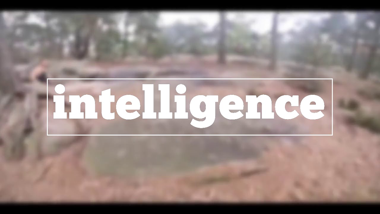 How do you spell intelligence? - YouTube