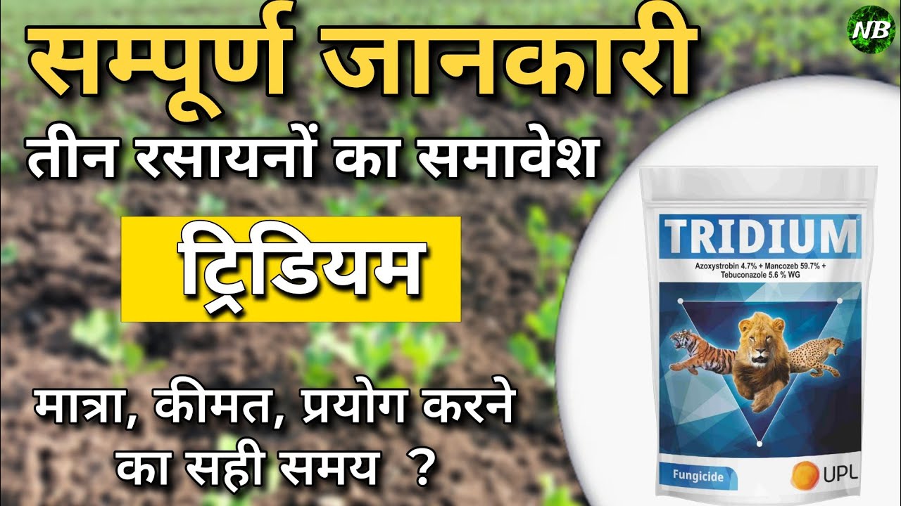 Tridium Fungicide || सम्पूर्ण जानकारी || UPL Limited. NB Camical - YouTube