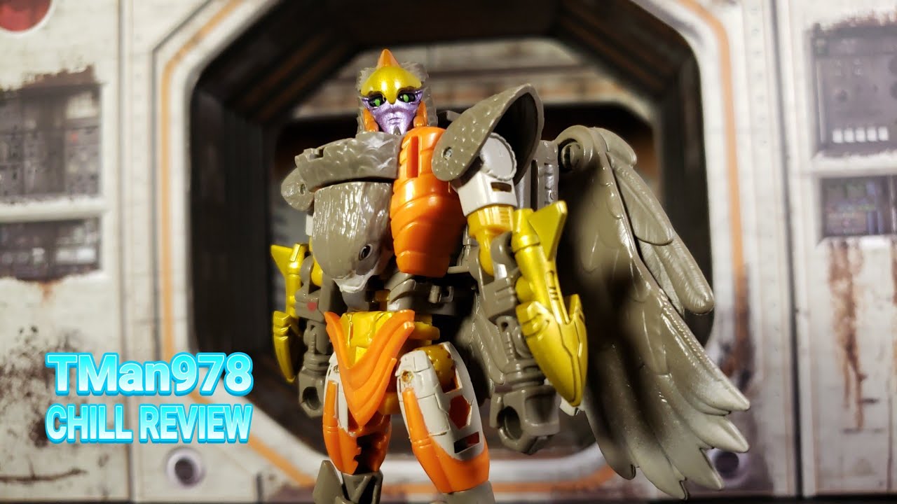 Transformers WFC Kingdom Deluxe Class Airazor CHILL REVIEW - YouTube