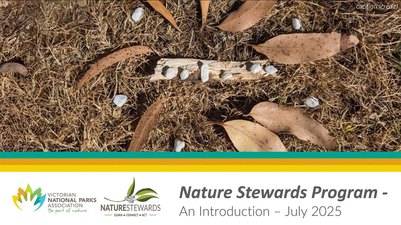 Nature Stewards - An introduction - YouTube