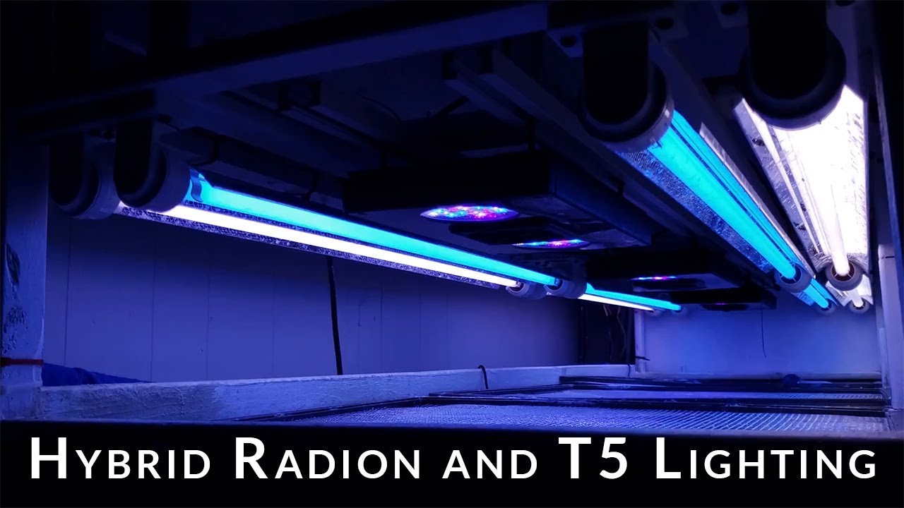 Overview of the 180g Hybrid Lighting System - YouTube