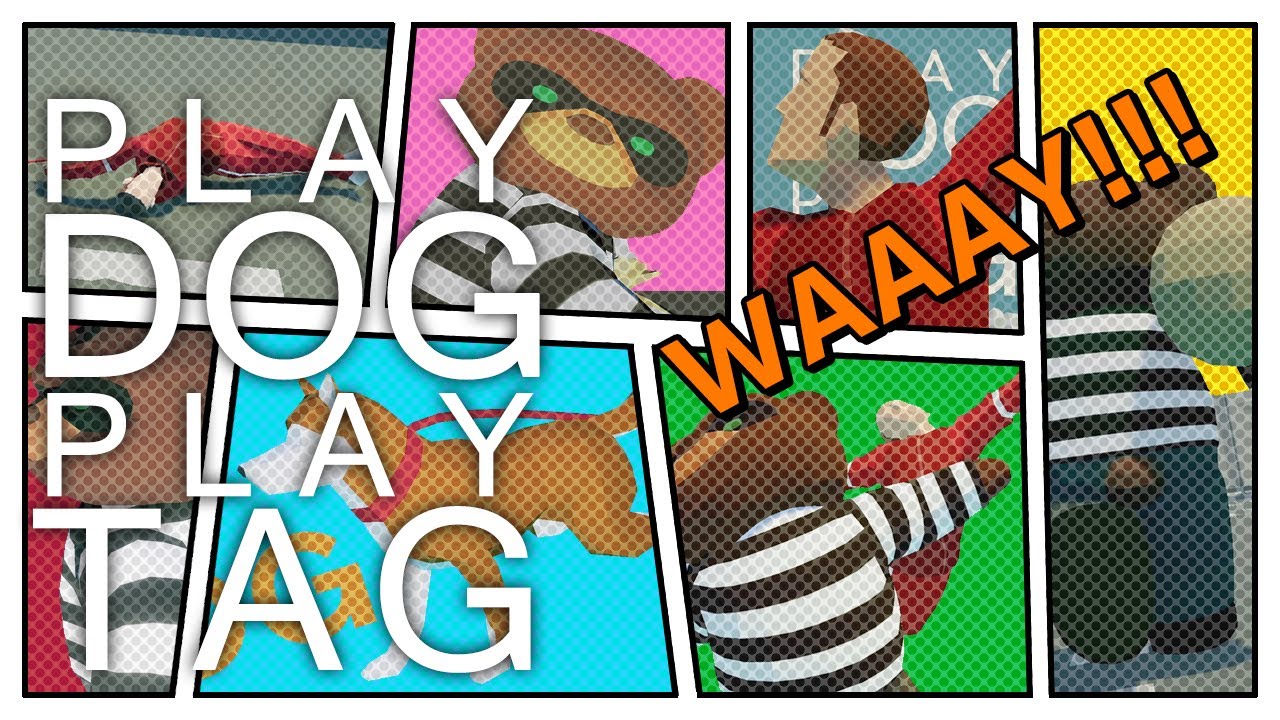 犬が飼い主を武器にして戦うゲーム【PLAY DOG PLAY TAG】 - YouTube