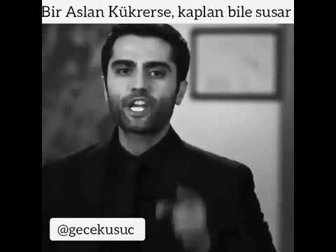 Bir Arslan Kükrerse, Kaplan Bile Susar..