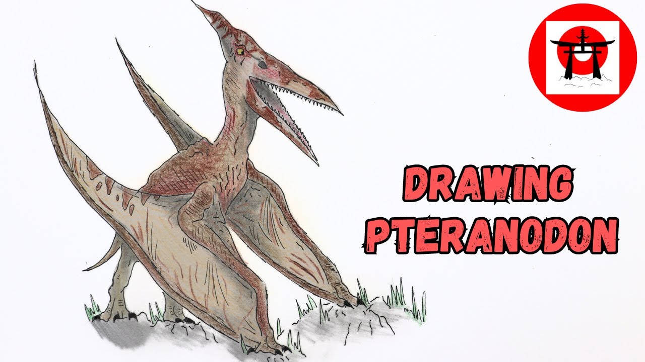 Drawing Jurassic Park 3 Pteranodon - YouTube