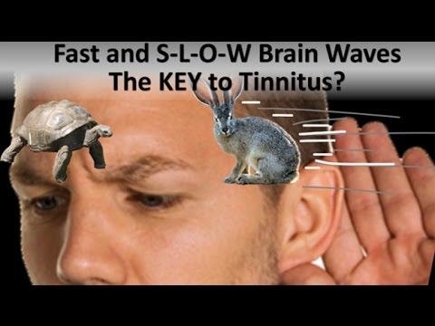Are Fast & Slow Brain Waves the Key to Tinnitus? - Synchrony [CR ...
