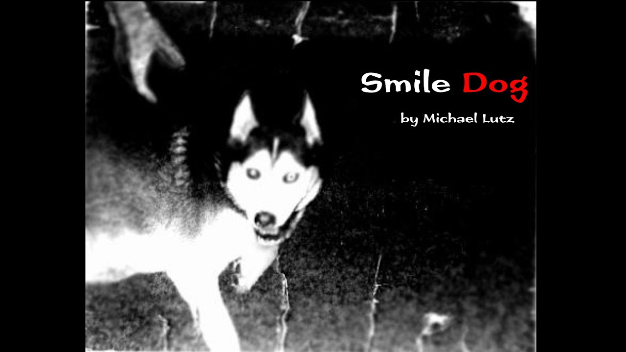 Smile Dog | Creepypasta Reading - YouTube