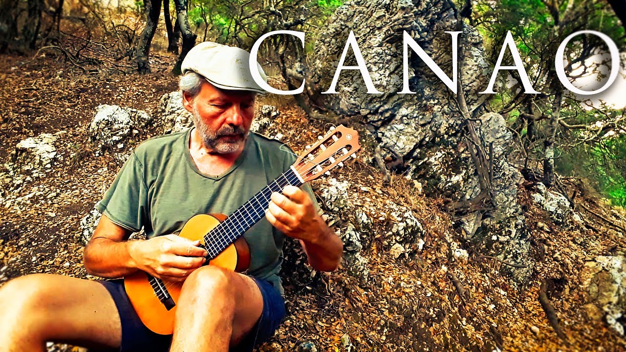 RELAXING EARTH MUSIC - Guitar Under the Trees - CANAO Music - YouTube