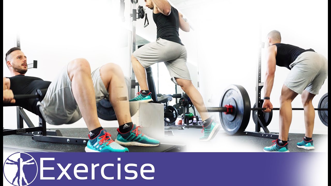 Build Strong Glutes and Hamstrings | Posterior Chain Exercises for ...