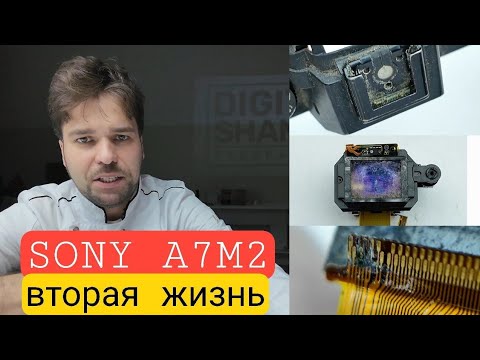 сутки после утопления. Теперь работает. утопленник a7m2 - YouTube