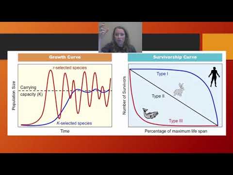 AP Env Sci Topic 3.3 Survivorship Curves - YouTube