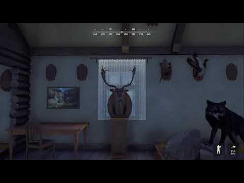 Disappearing Roe Deer and sneaky Brown Bear | Way of the Hunter | Transylvania Ep.12 - YouTube