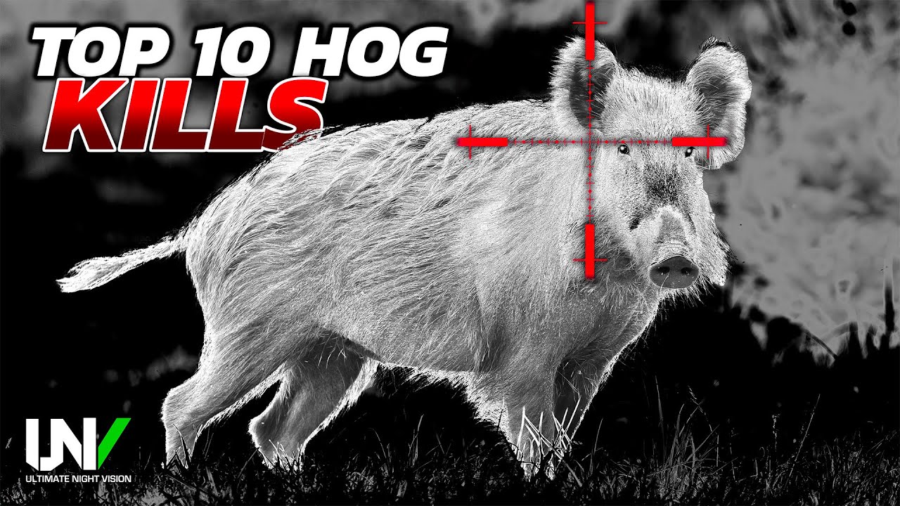 10 EPIC THERMAL pig KILLS in 5 minutes! - YouTube