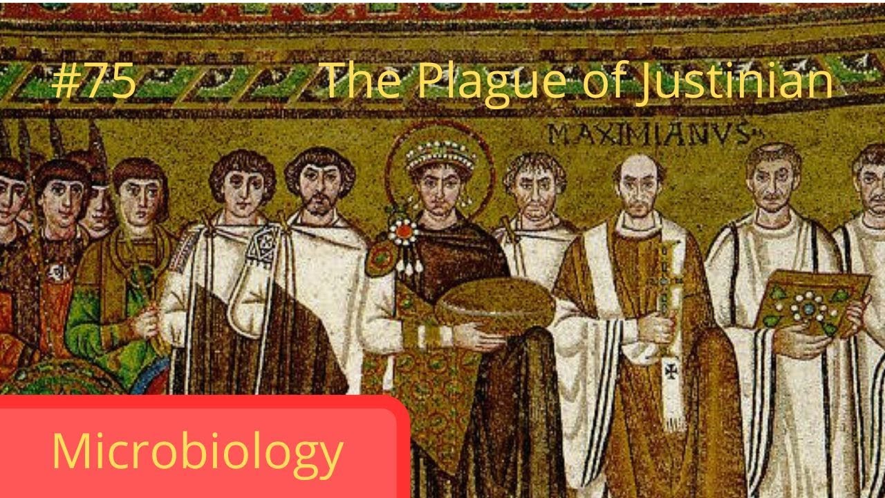 Biopedia episode 75- The Plague of Justinian - YouTube