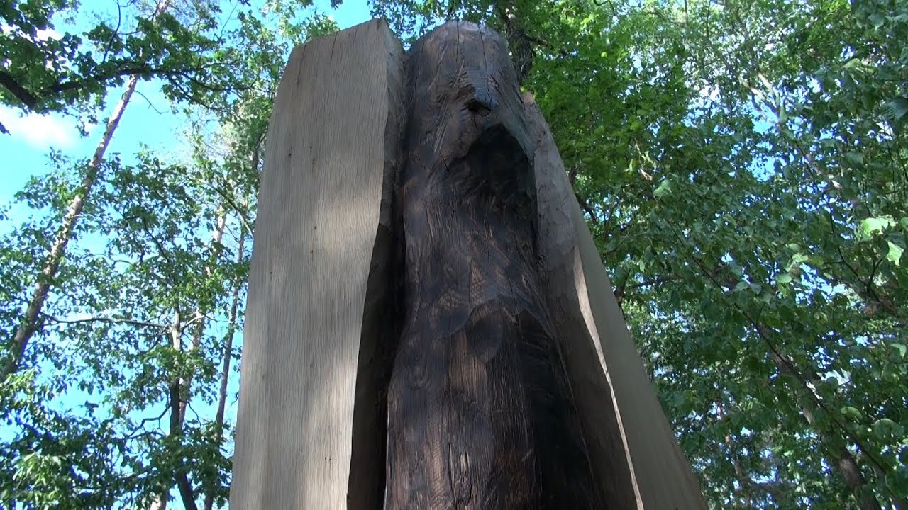 Hidden in trees Teil 3 - YouTube