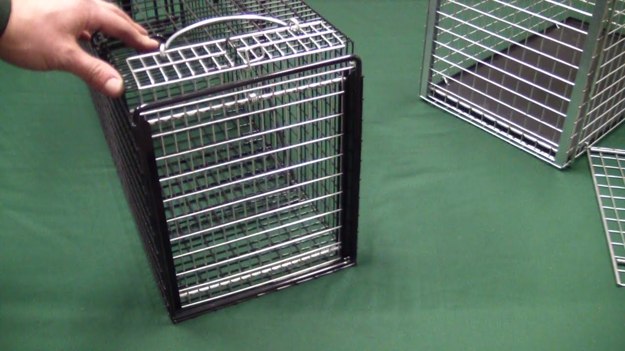 Auto-Latch Rear Release Door Demo and Introduction. - YouTube