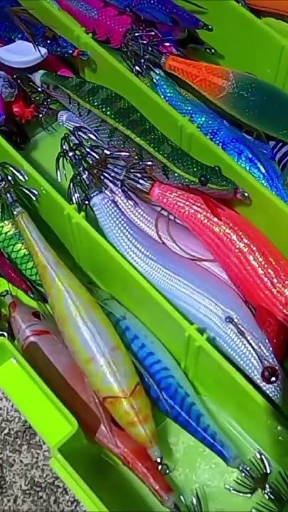 señuelos 2024 eging - YouTube