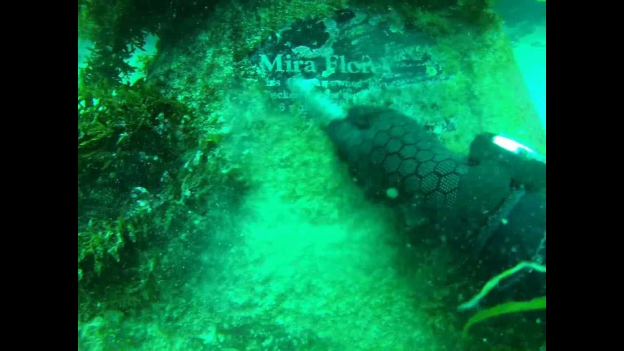 Scuba Diving, Shipwreck Mira Flores, Rottnest Island Western Australia ...