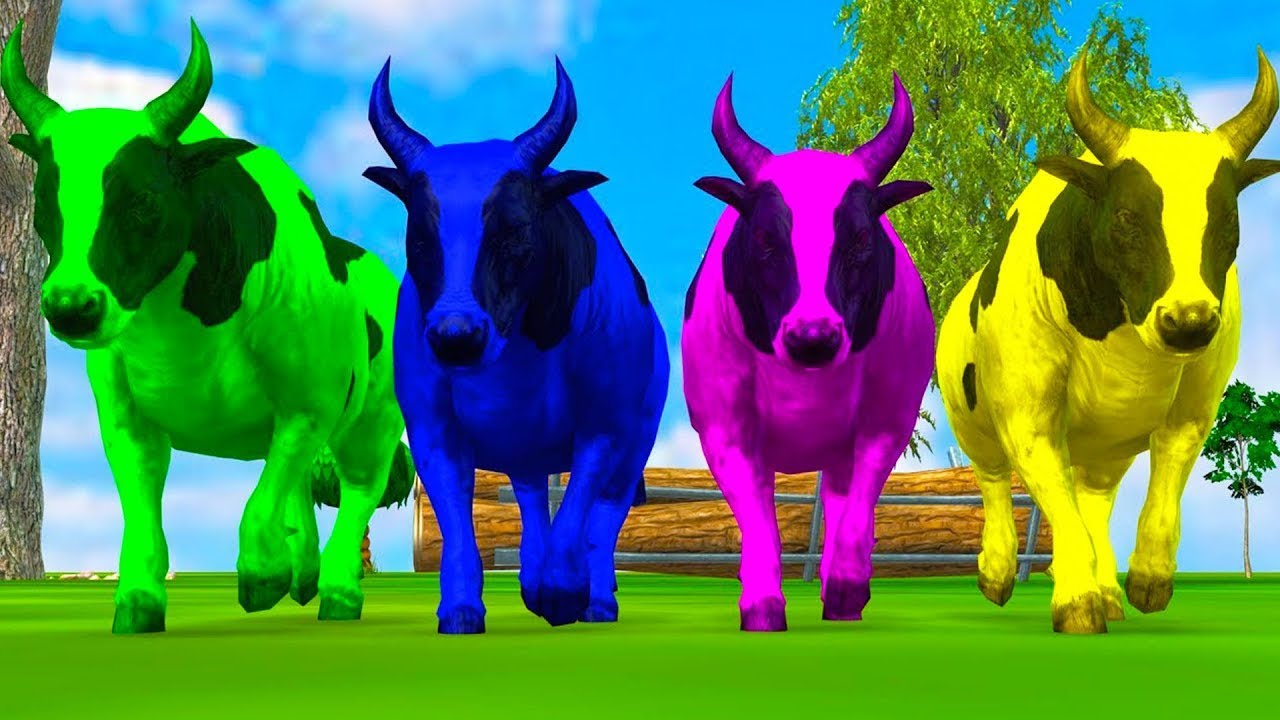 Nhạc con bò Con Bò Nhảy Múa Vui Nhộn Nhạc Thiếu Nhi Sôi Động Chú mèo ...
