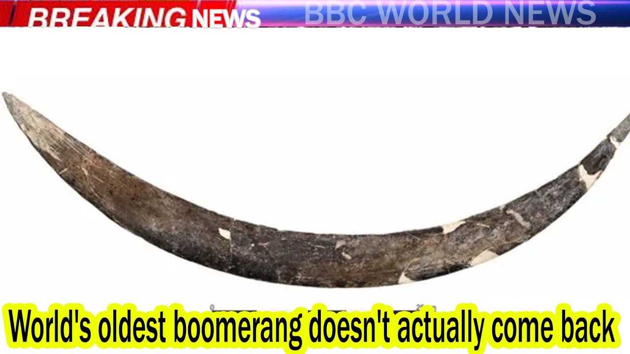 World's oldest boomerang doesn't actually come back - YouTube