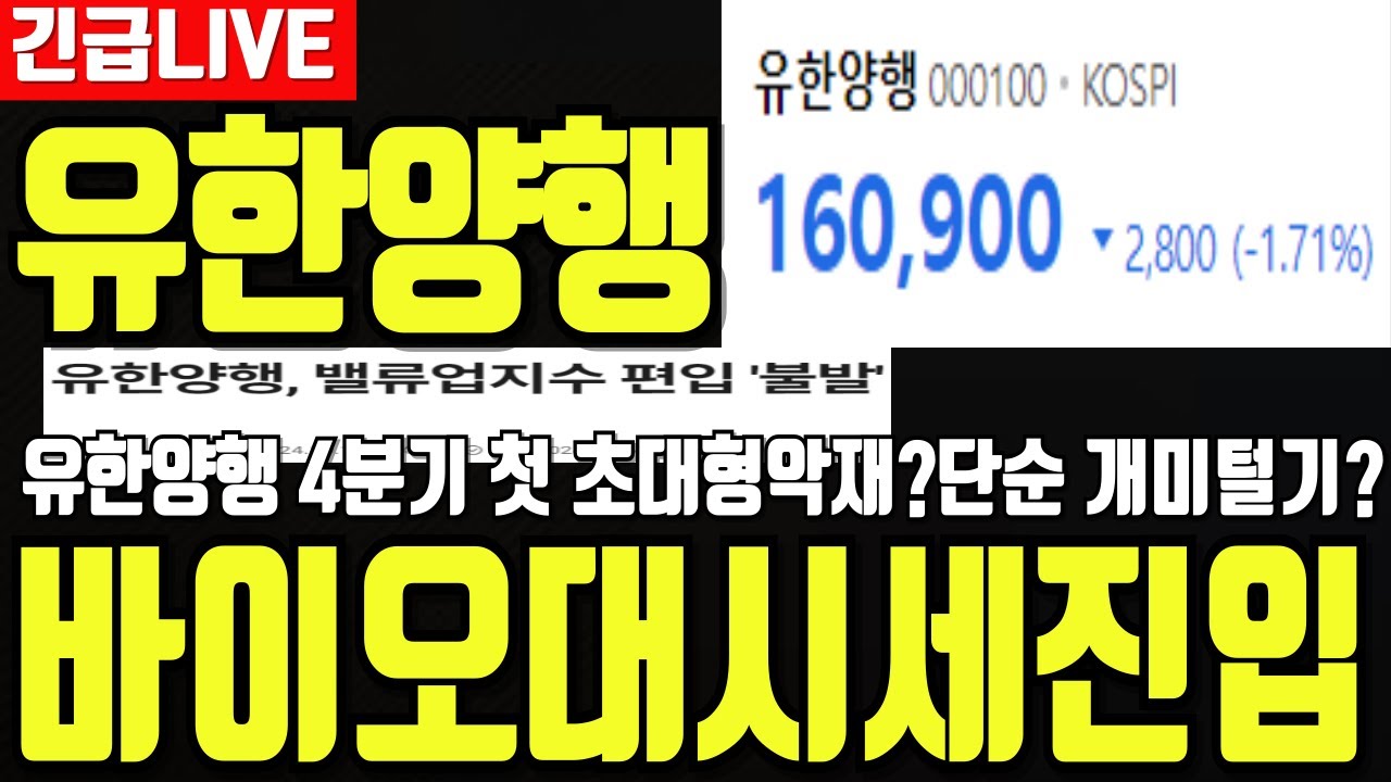 유한양행 유한양행 4분기 첫 초대형악재 단순 개미털기 바이오 대시세 진입 유한양행 유한양행주가 유한양행주가전망 디에스경제