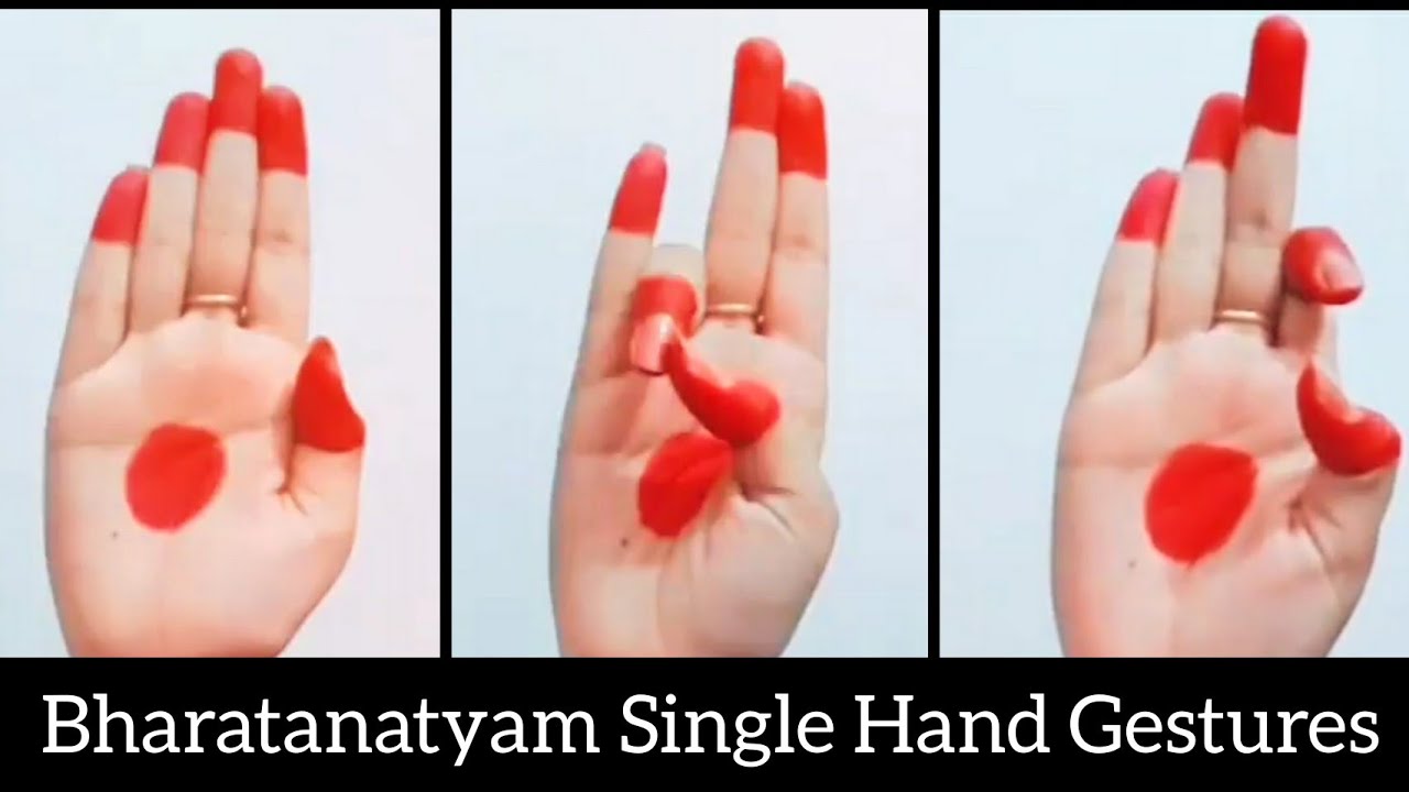 Hasta Mudra Tutorial | Learn Bharatanatyam Hasta Mudra|One Hand/Single ...
