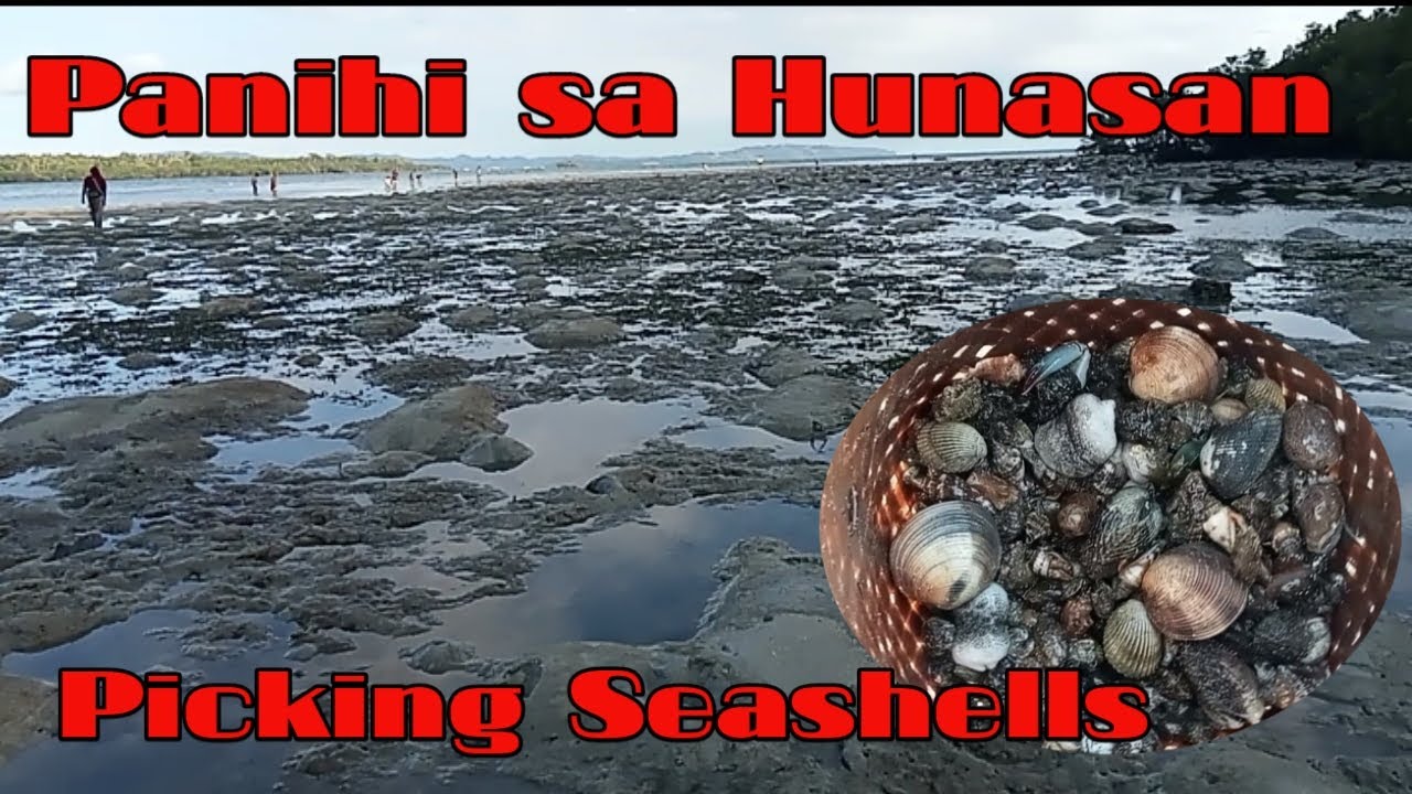 Panihi sa Hunasan | Picking Seashell | Romblon Province - YouTube