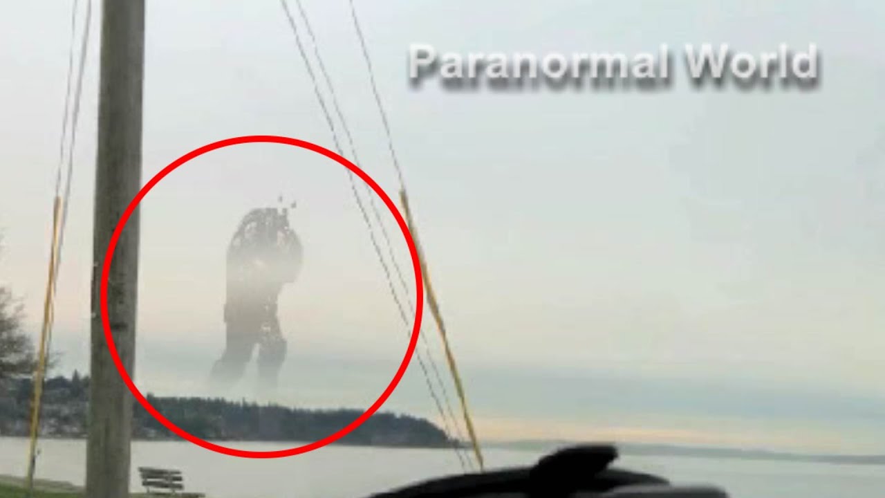 Real Giant Creature sighting Caught on camera - YouTube
