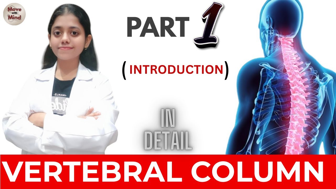 Vertebral column anatomy in detail | Anatomy of vertebral column | Back ...
